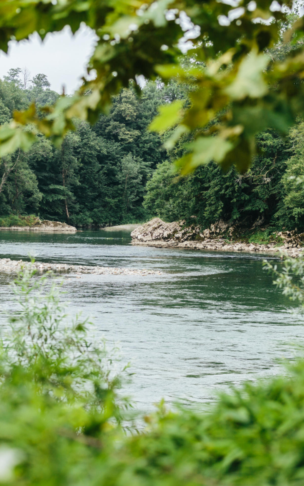Sauveterre-de-Béarn, entrez dans la légende… | Office de Tourisme Béarn ...